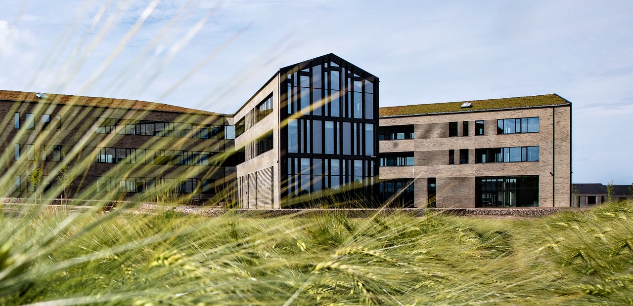 Tax Policy of the DLG Group - DLG - Landbrugets foretrukne ...