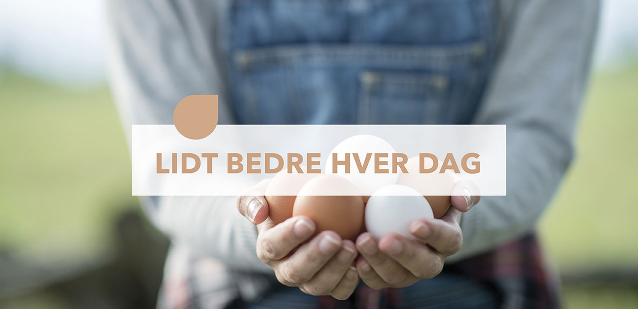Lidt bedre hver dag - DLG - Landbrugets foretrukne samarbejdspartner
