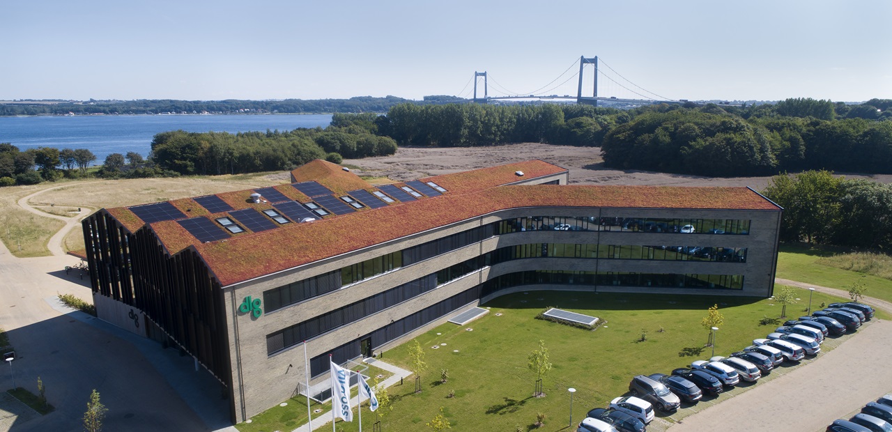 DLG Group changes organizational structure to enable transformation ...