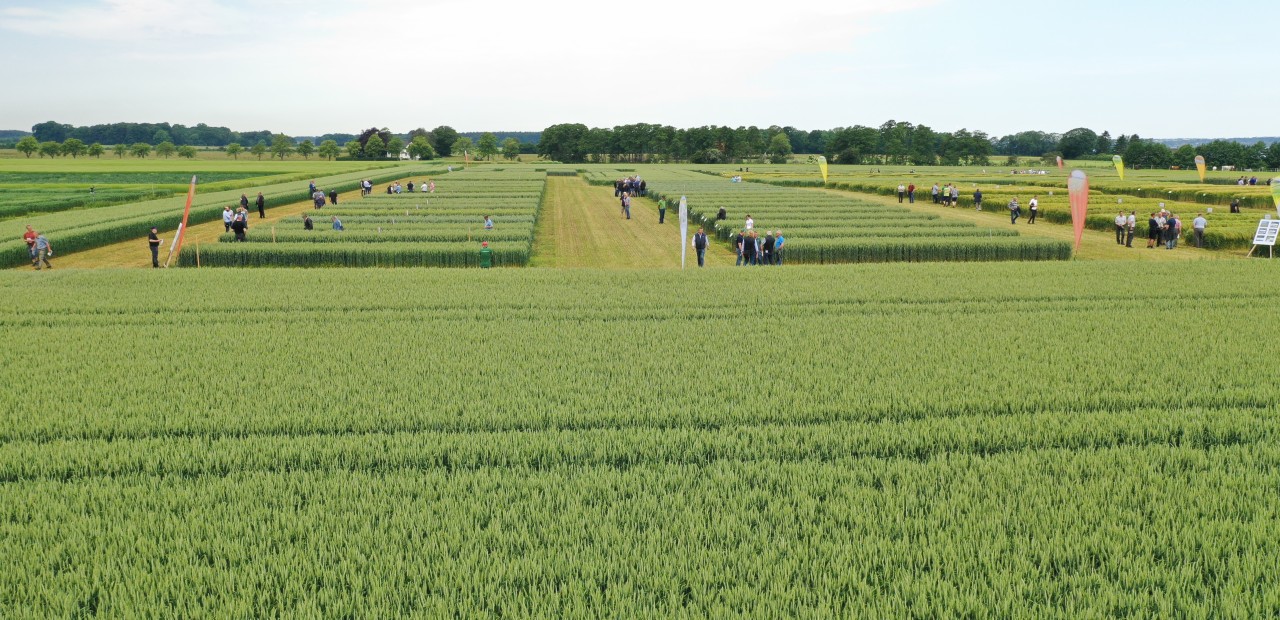 Program for DLG Innovation 2025 - DLG - Landbrugets foretrukne ...