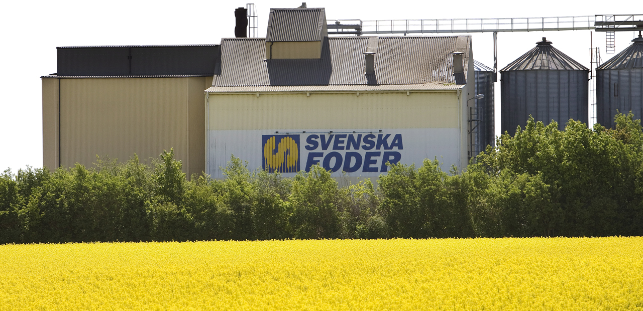 Carsten Klausen fortsætter som chef i Svenska Foder - DLG - Landbrugets ...